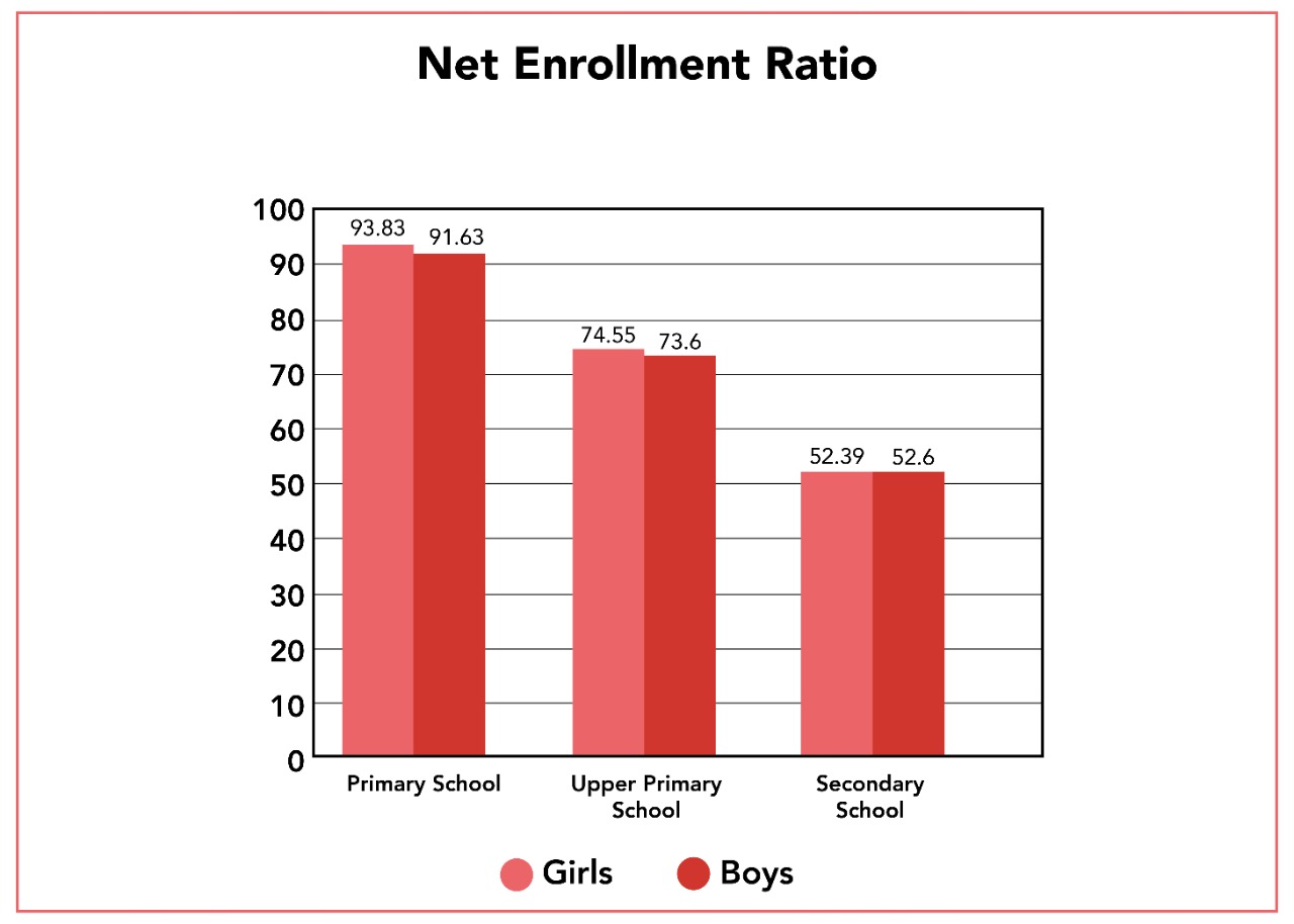 Latest Schools, Students and Teachers Statistics i | Ezyschooling